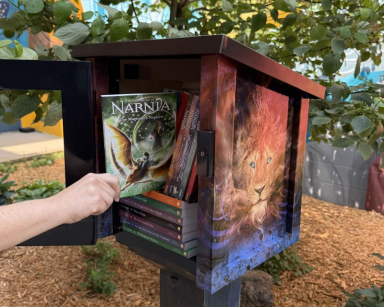 Celebrate the 75th Anniversary of The Chronicles of Narnia with a ...